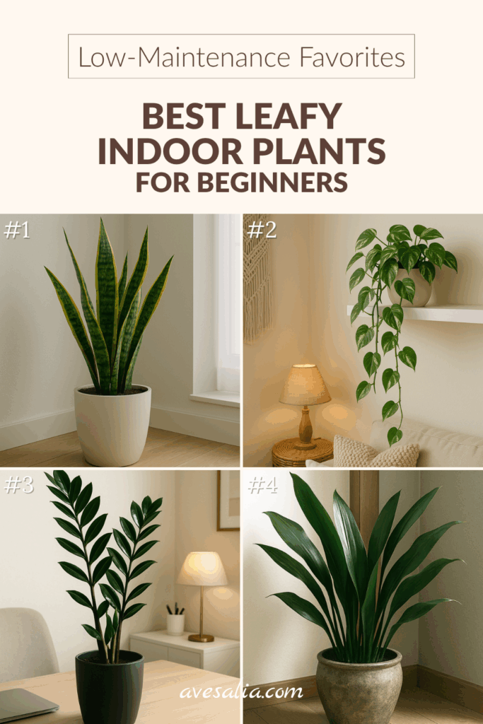 Low-Light, Low-Maintenance: Easy House Plants for Beginners That Anyone ...